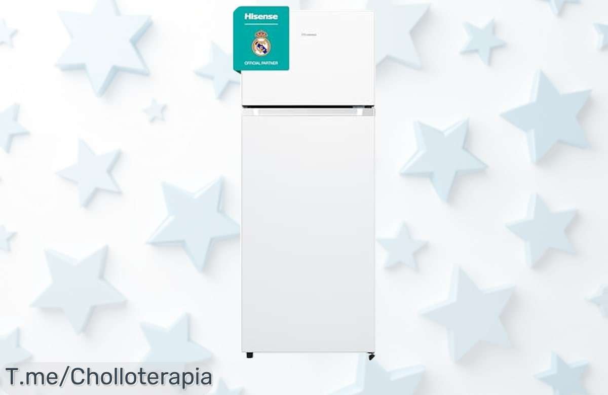 🤩 Frigorífico Hisense MTM55205E a precio loco: 206 L de frescura para ...